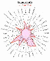 Odor Classification